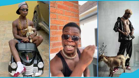 Ay Poyoo Claims To Be Bigger Than Portable, Says Naija Star Is More ...