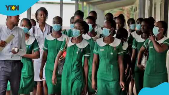 Nursing schools in Ghana: courses offered, fees, admission requirements ...