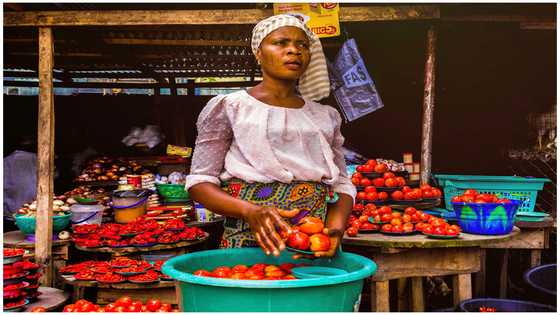 Complete List of Cocoa Growing Districts and Regions in Ghana - YEN.COM.GH