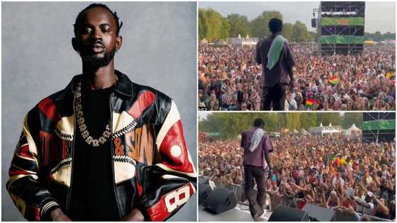 20 famous white bald actors in Hollywood who look great without their ...