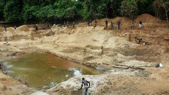 Baltasar Engonga Video Scandal: Equatorial Guinea's First Lady Laments ...