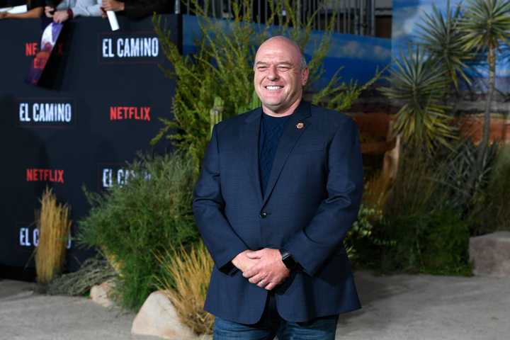 20 famous white bald actors in Hollywood who look great without their ...