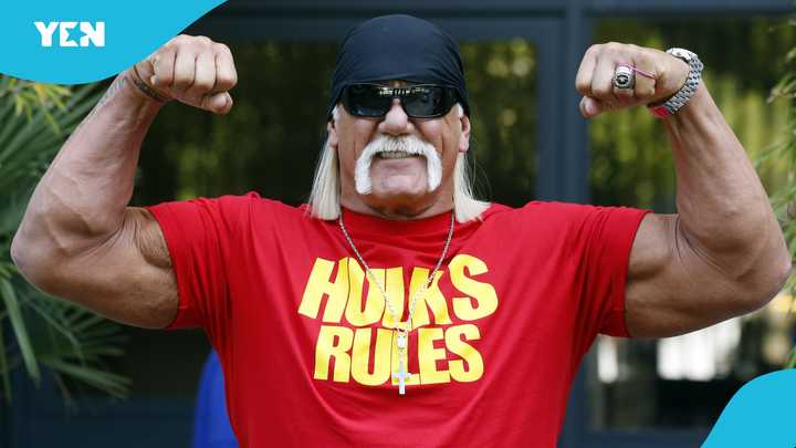 Inside Hulk Hogan’s $11.5 Million Estate: A Look at His Mansion Before ...