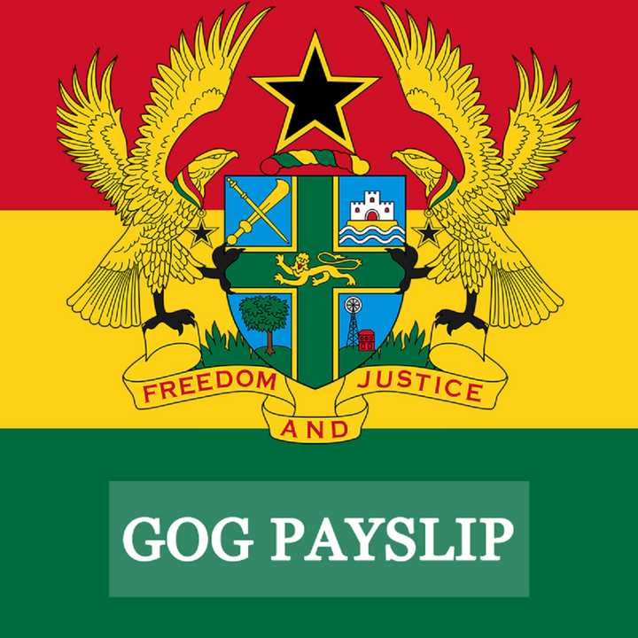 GOGSPV return system login, activation, check - YEN.COM.GH