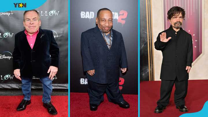 Top 50 short actors: List of the shortest celebrities in Hollywood ...