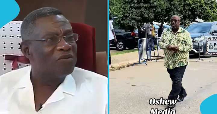 Sam Atta Mills: Former President’s Son and Wife Steal Show at Late ...