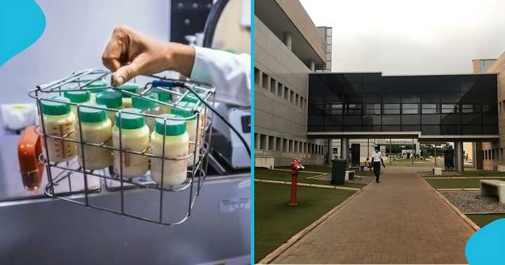 Ghana Launches Its First-Ever Human Milk Bank to Support Babies in Need ...