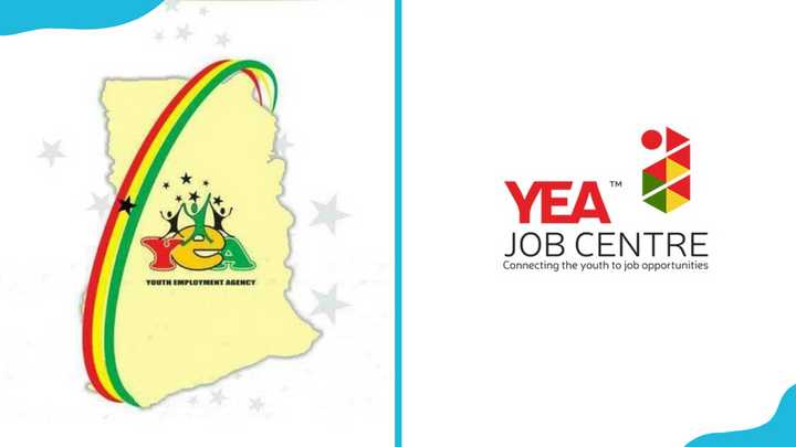 YEA portal 2025: registration, vacancies, recruitment, salary, renewal ...