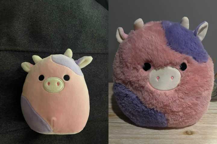 The top 15 rare Squishmallows: A list of the most popular plush (with ...