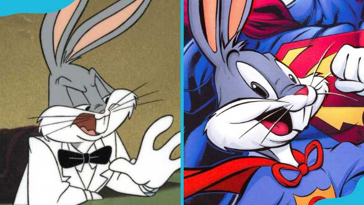 30 most famous animal cartoon characters' names and pictures - YEN.COM.GH