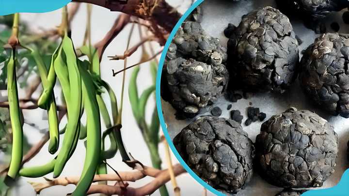 35+ common spices in Ghana: local names and uses you should know - YEN ...