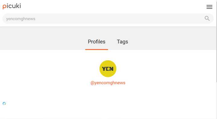 What is the Picuki app: What does it do, and how does it work - YEN.COM.GH