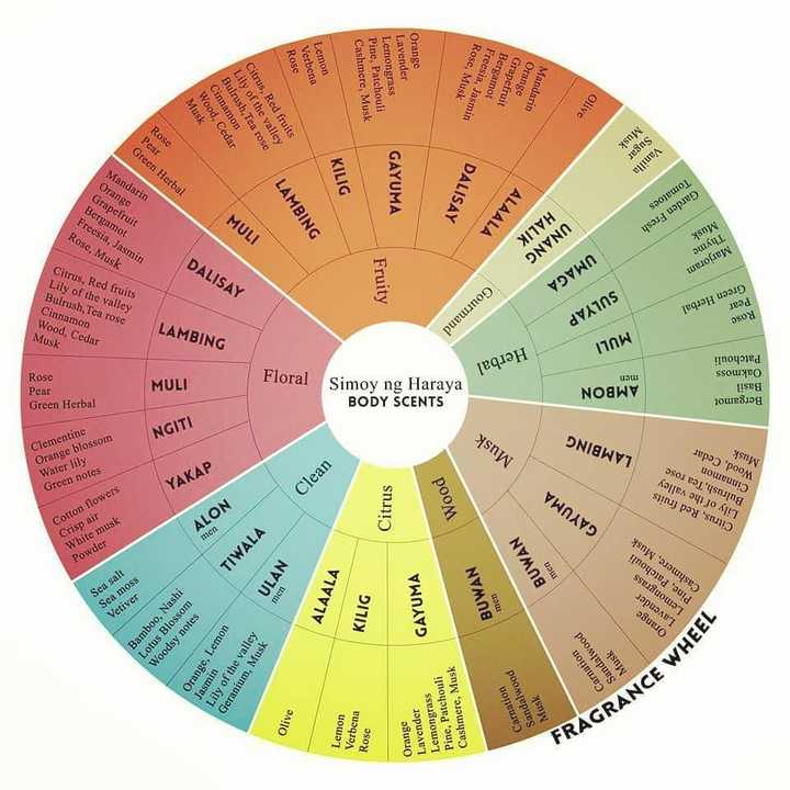 Top 9 types of scents: A guide to perfume fragrance and scents - YEN.COM.GH
