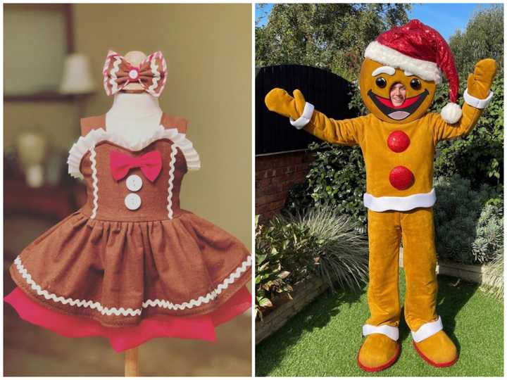 Interesting Shrek costume ideas for Halloween: for adults and kids ...