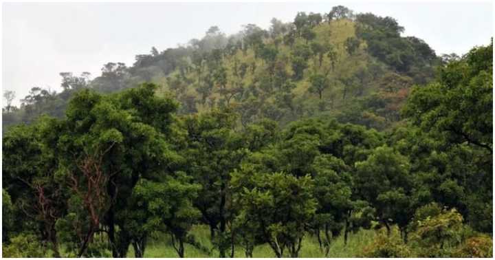 Mount Afadja, Mount Edouka and Other Tallest Mountains in Ghana, Their ...