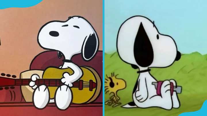 30 most famous animal cartoon characters' names and pictures - YEN.COM.GH