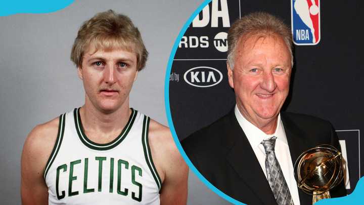 How many rings does Larry Bird have? A list of Larry Bird's NBA ...