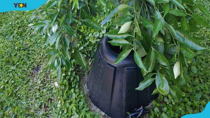 Johnny Georges Tree T-PEE’s net worth story before and after Shark Tank ...