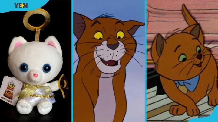 30 Most popular Disney cats: The best cat characters ranked - YEN.COM.GH