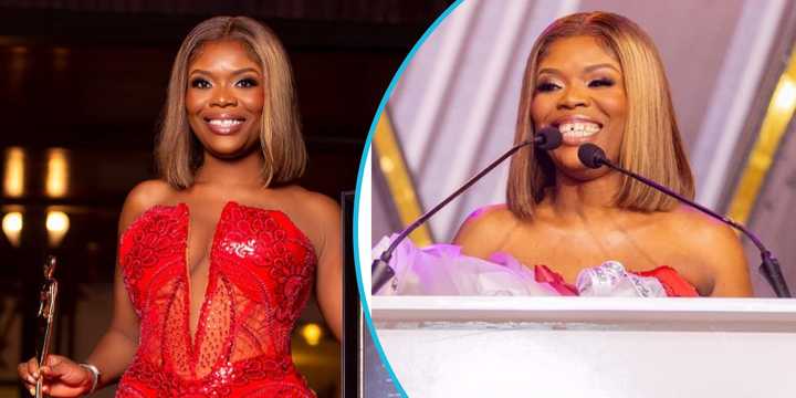 Delay: Media Star Wins Excellence in Media Award at 2023 Ghana Women of ...