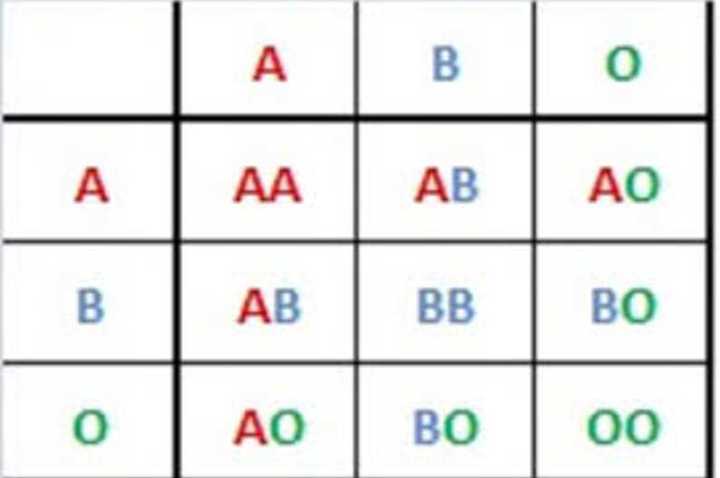 Blood type genotypes and their characteristics in human beings - YEN.COM.GH