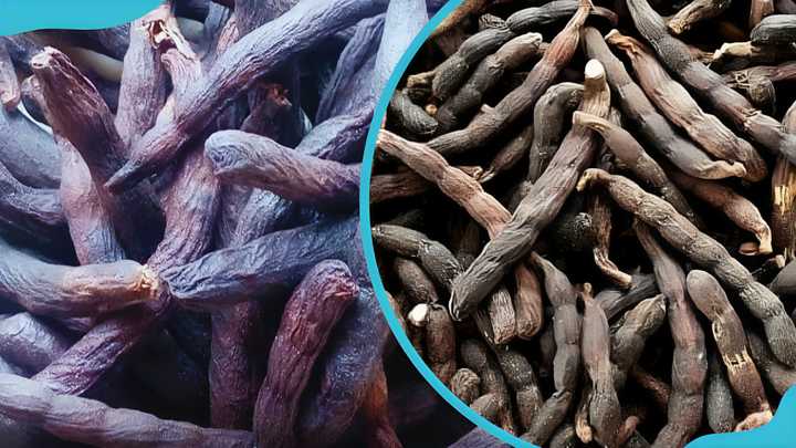 35+ common spices in Ghana: local names and uses you should know - YEN ...