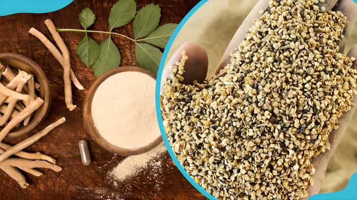 35+ common spices in Ghana: local names and uses you should know - YEN ...